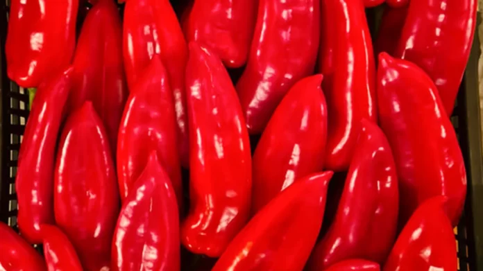 Specat nga Maqedonia tërhiqen nga tregu në Kroaci për shkak të ...